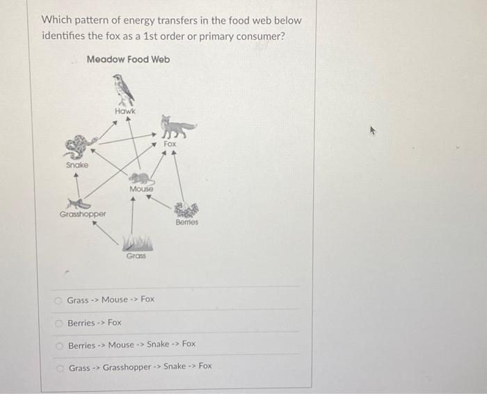 Solved Which pattern of energy transfers in the food web | Chegg.com