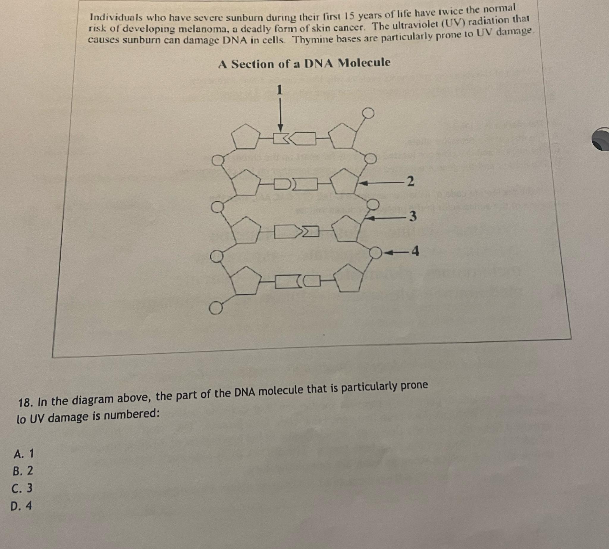 Solved Individuals who have severe sunburn during their | Chegg.com
