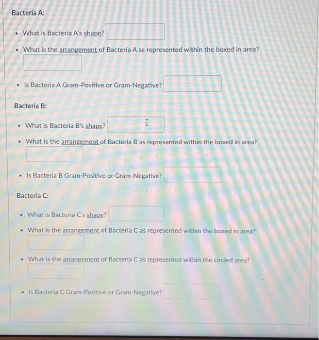 Solved You were given three different bacterial cultures to | Chegg.com
