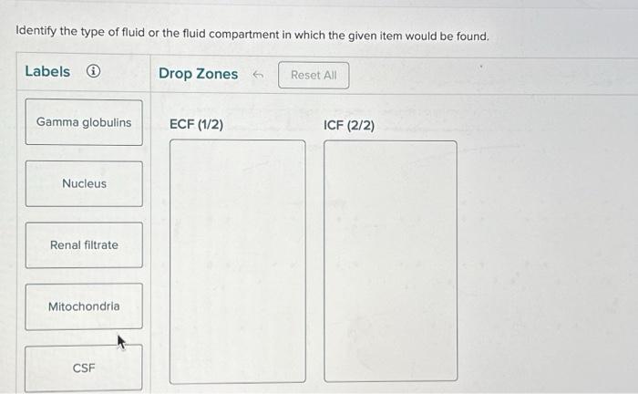 Solved Identify the type of fluid or the fluid compartment | Chegg.com