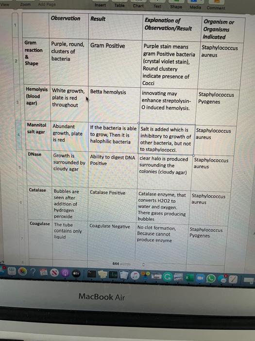 Solved View Zoom Add Page Insert Table Chart Text Shape | Chegg.com
