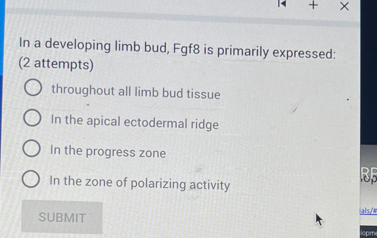 Solved In a developing limb bud, Fgf8 ﻿is primarily | Chegg.com