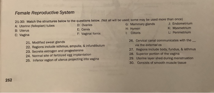 Solved Female Reproductive System 21-30: Match the | Chegg.com