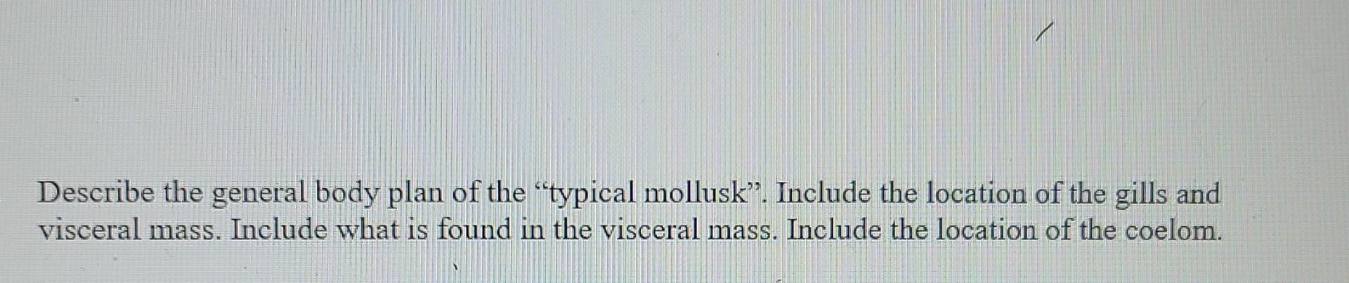 Solved Describe the general body plan of the "typical | Chegg.com