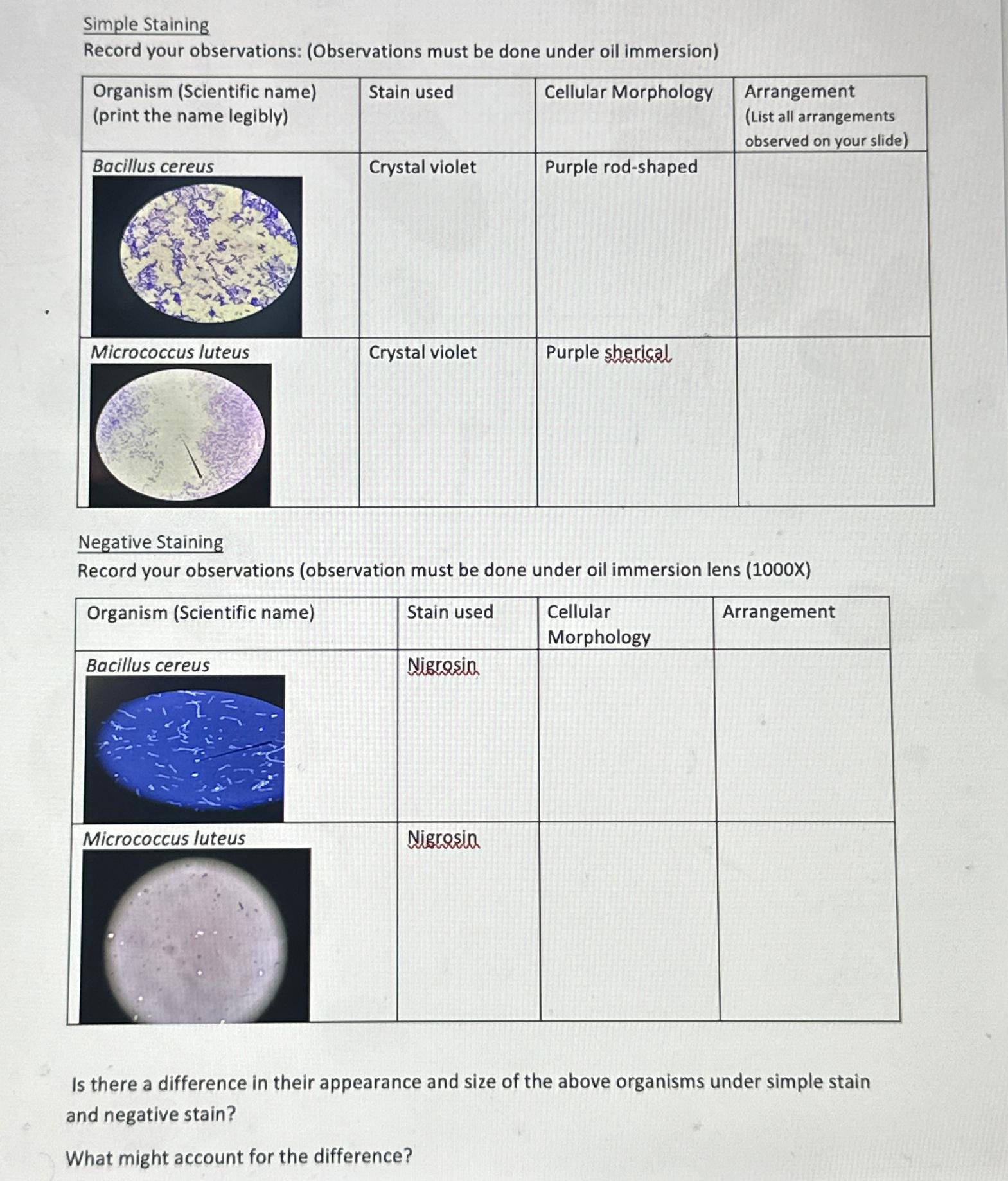 Solved PLEASE FILL THE TABLE AND ANSWER THE TWO QUESTIONS | Chegg.com