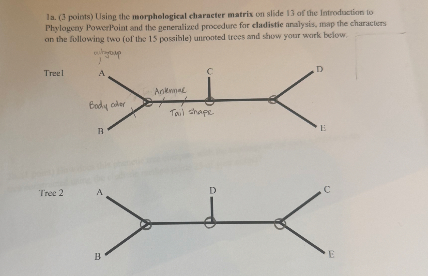 1a. (3 ﻿points) ﻿Using the morphological character | Chegg.com