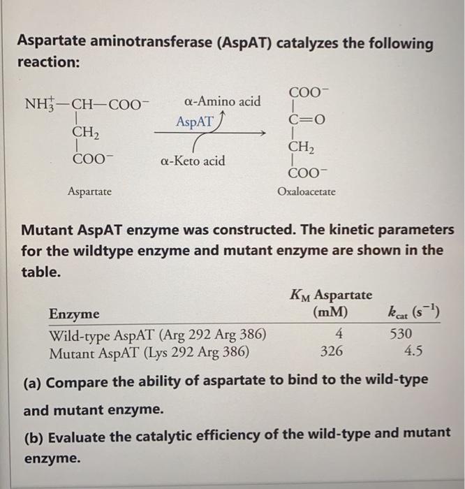 Solved Aspartate aminotransferase (AspAT) catalyzes the | Chegg.com