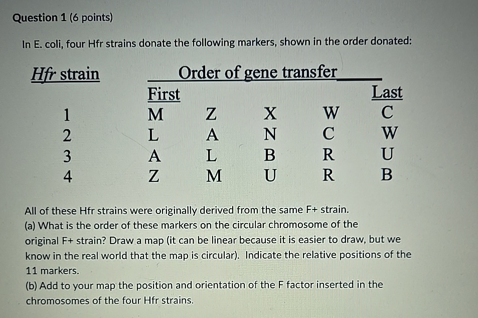 Solved Question 1 (6 ﻿points)In E. ﻿coli, four Hfr strains | Chegg.com