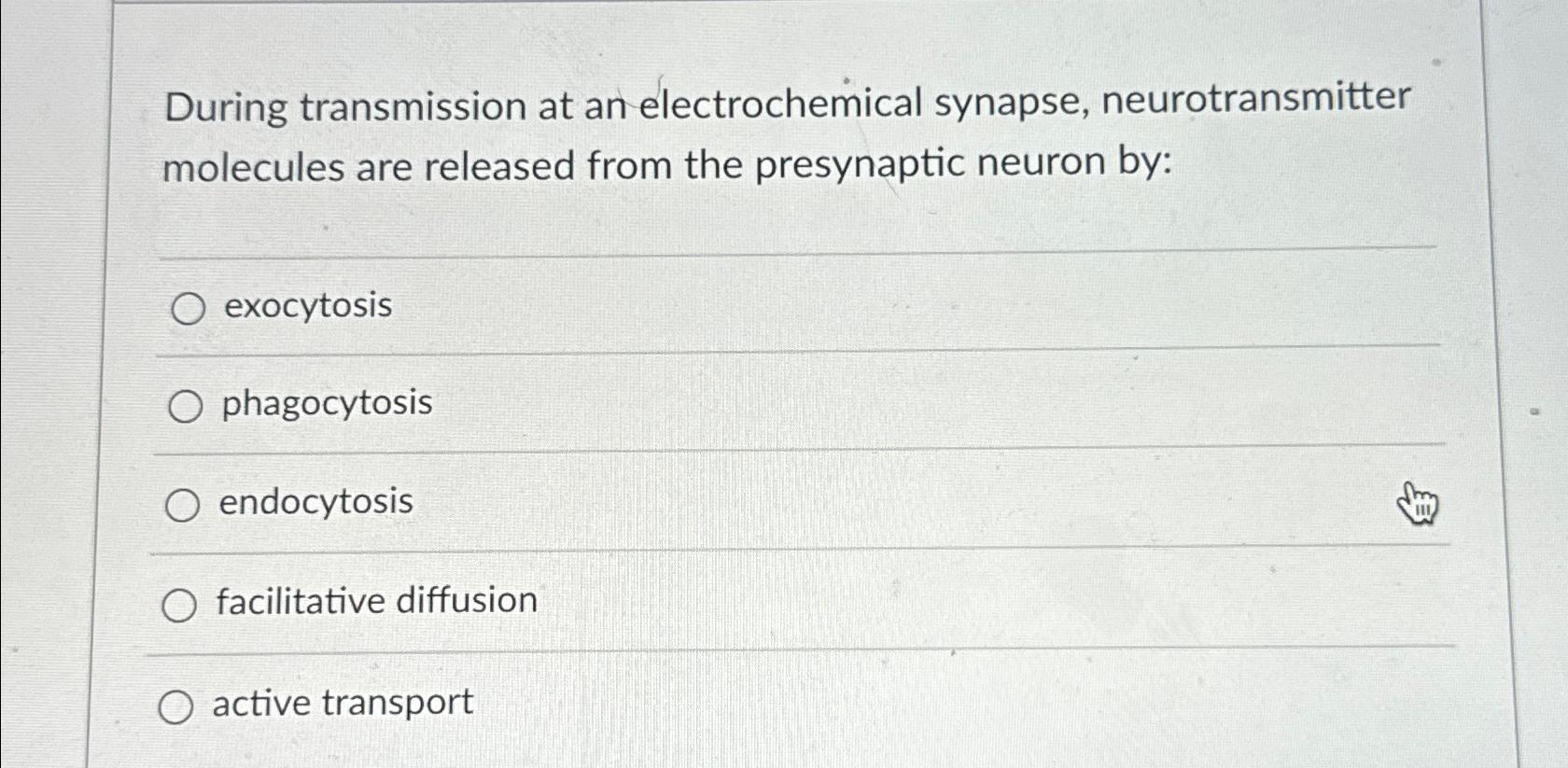 Solved During transmission at an electrochemical synapse, | Chegg.com