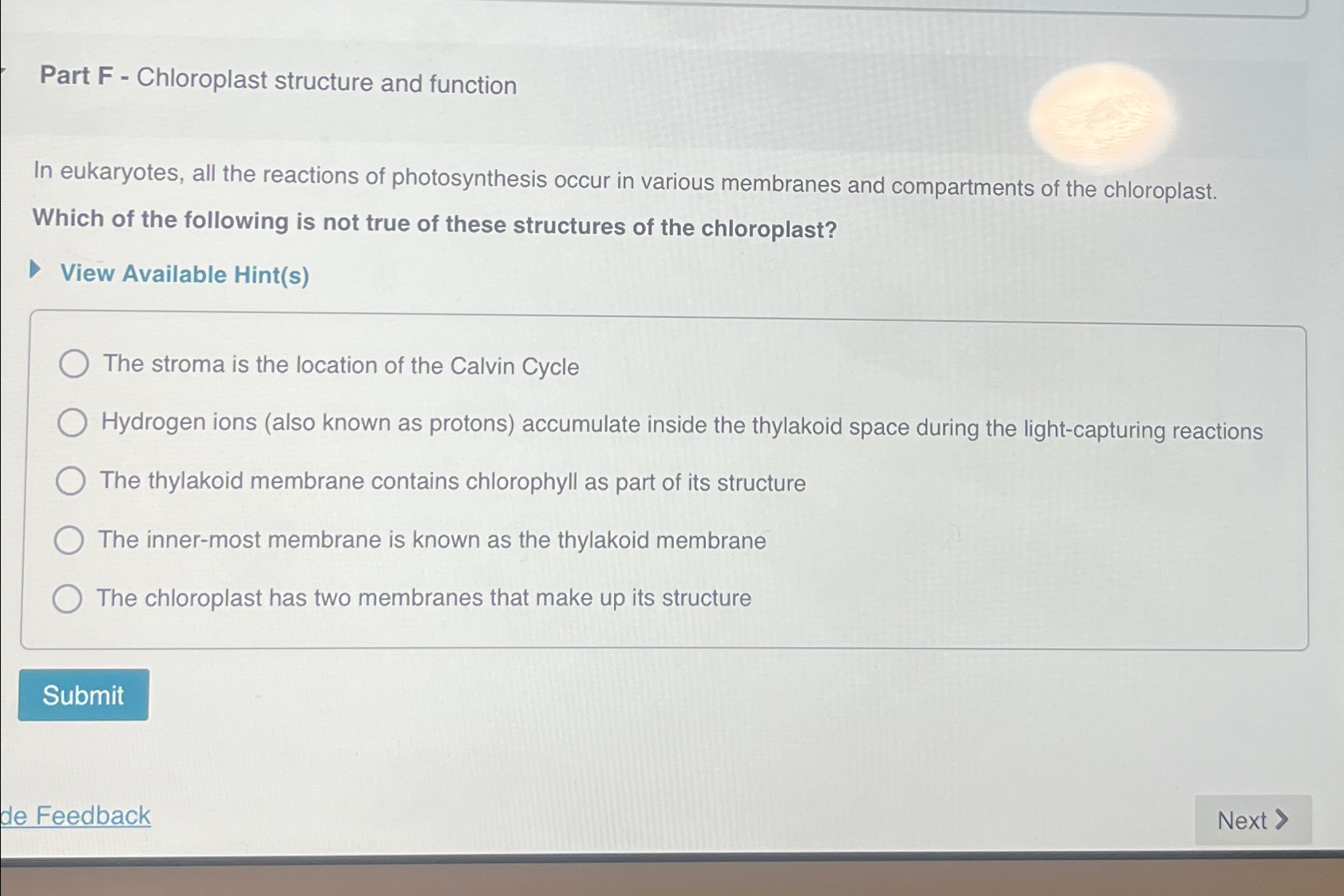 Solved Part F - ﻿Chloroplast structure and functionIn | Chegg.com