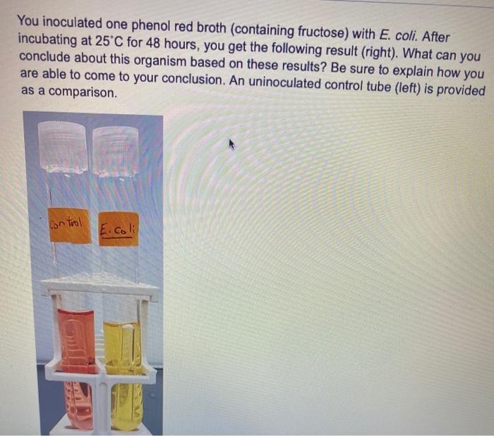 Solved You inoculated one phenol red broth (containing | Chegg.com