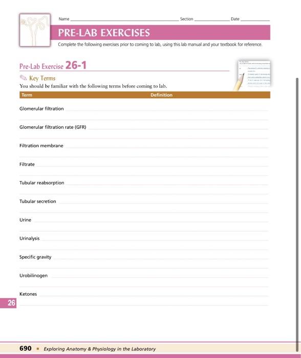 Solved Name Section Date PRE-LAB EXERCISES Complete the | Chegg.com