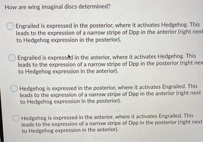 Solved How are wing imaginal discs determined? Engrailed is | Chegg.com