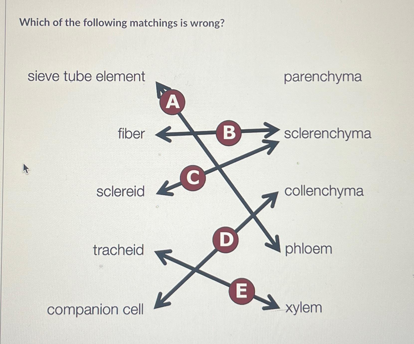 Solved Which of the following matchings is wrong? | Chegg.com