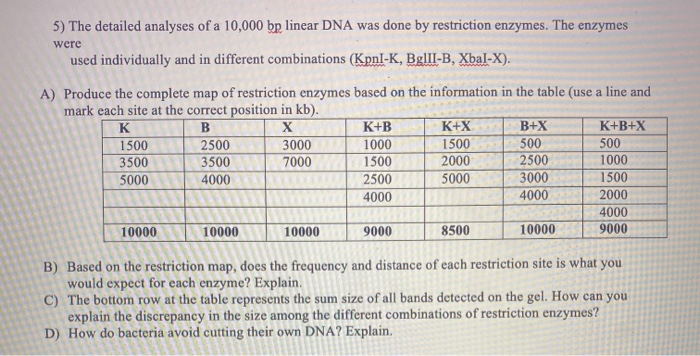 Solved 5) The detailed analyses of a 10,000 br linear DNA | Chegg.com