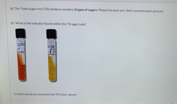 Solved (a) The Triple Sugar Iron (TSI) medium contains 3 | Chegg.com