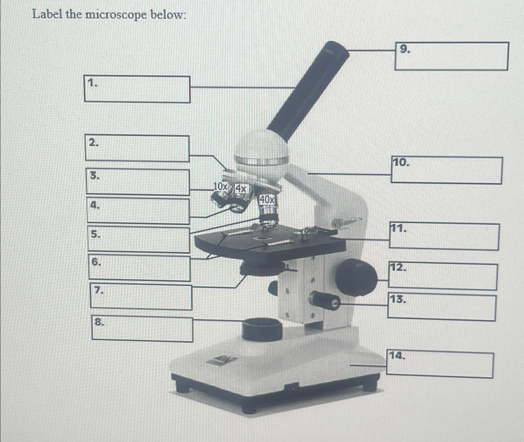 Solved Label the microscope below: | Chegg.com