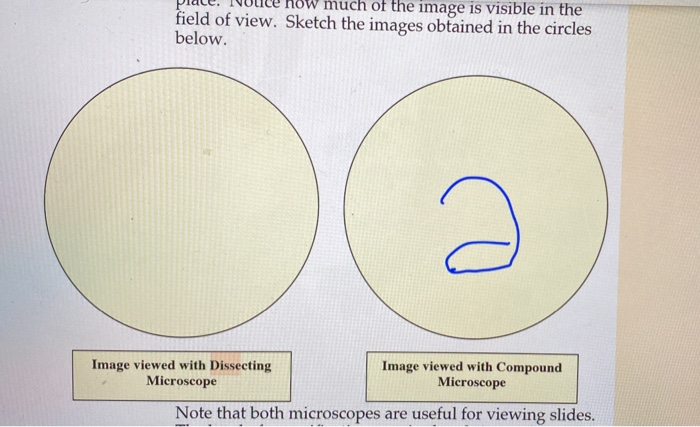 Solved if we were to put a slide of the alphabet e in light | Chegg.com