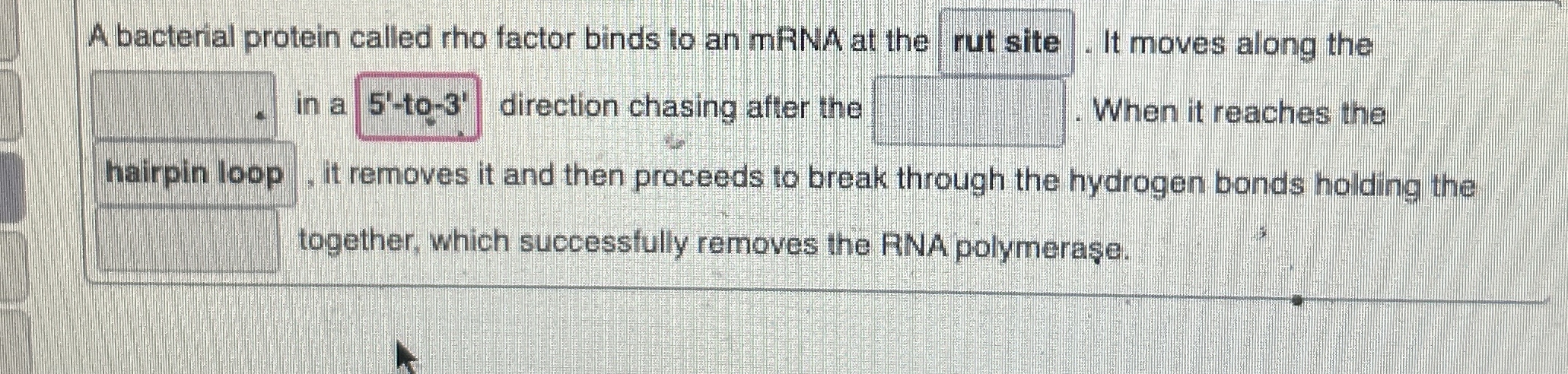 Solved A bacterial protein called rho factor binds to an | Chegg.com