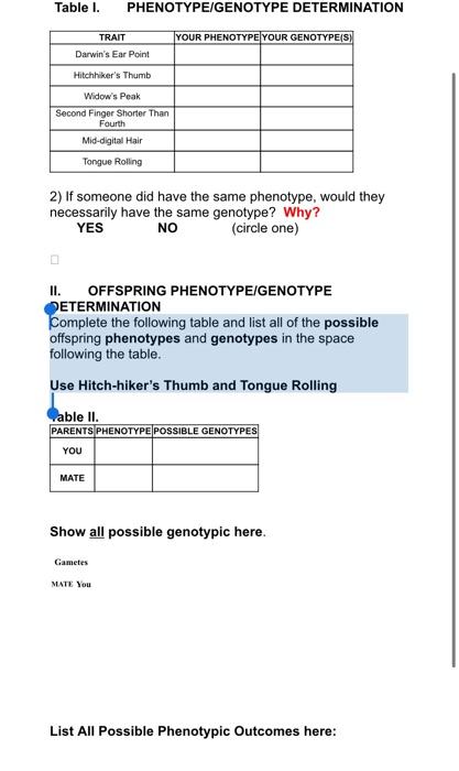 Solved Table I. PHENOTYPE/GENOTYPE DETERMINATION 2) If | Chegg.com