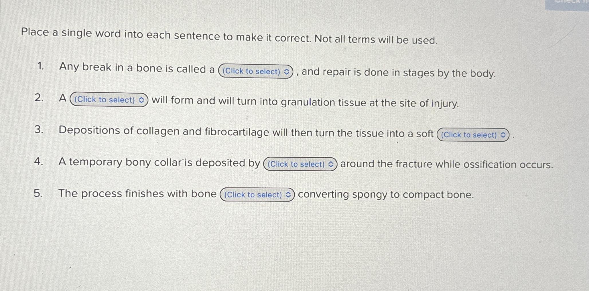 Solved Place a single word into each sentence to make it | Chegg.com