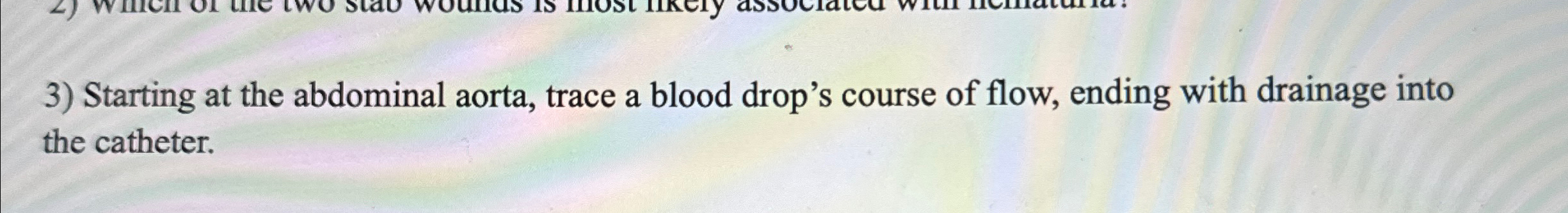 Solved Starting at the abdominal aorta, trace a blood drop's | Chegg.com