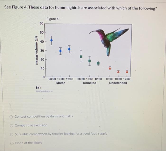 Solved See Figure 4. These data for hummingbirds are | Chegg.com