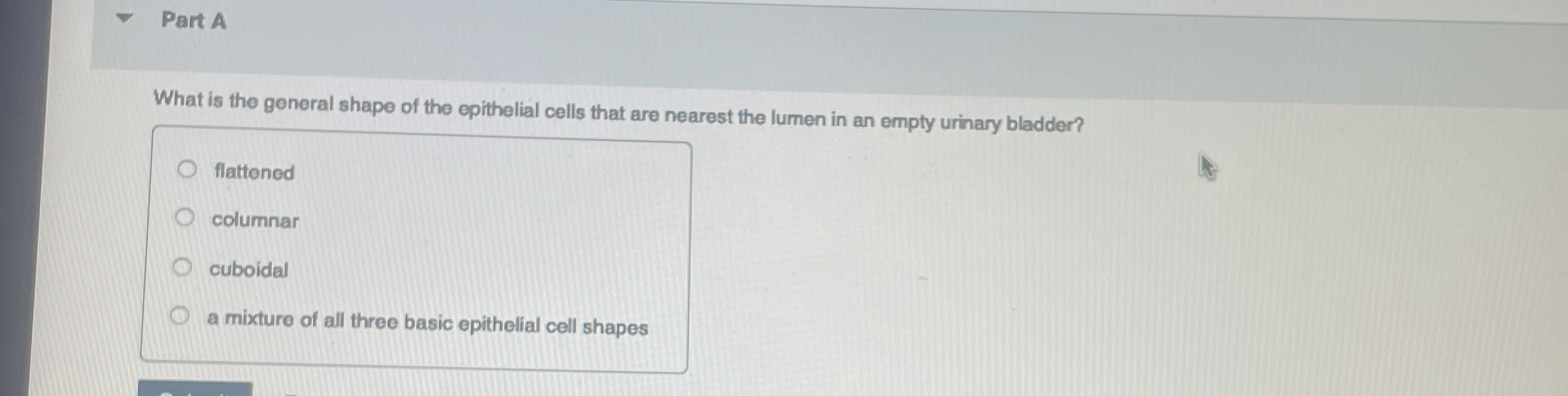 Solved Part AWhat is the general shape of the epithelial | Chegg.com