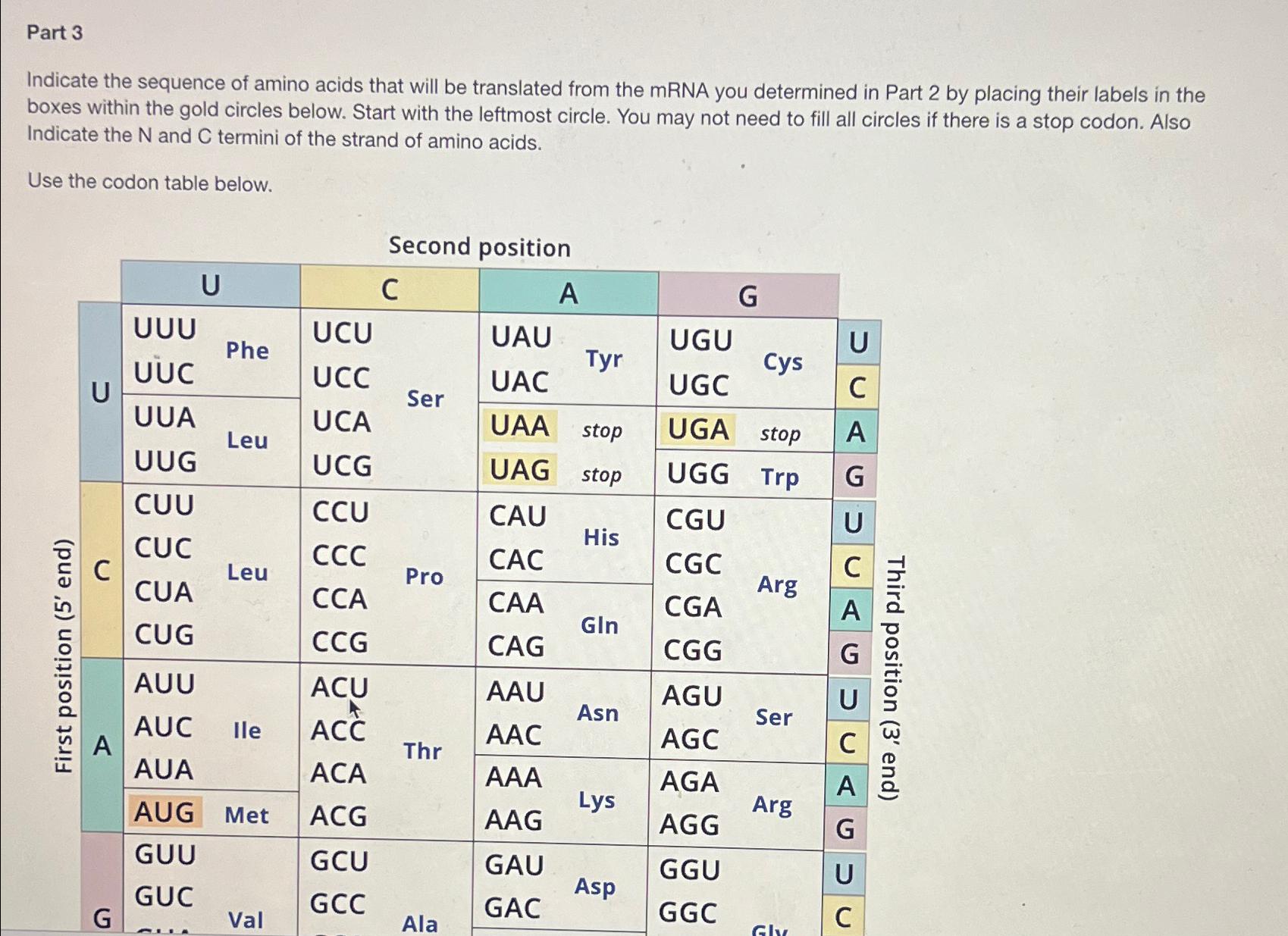 Solved Part 3Indicate the sequence of amino acids that will | Chegg.com