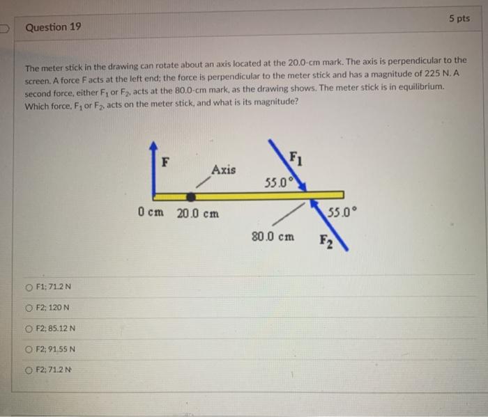 Solved 5 pts Question 19 The meter stick in the drawing can | Chegg.com