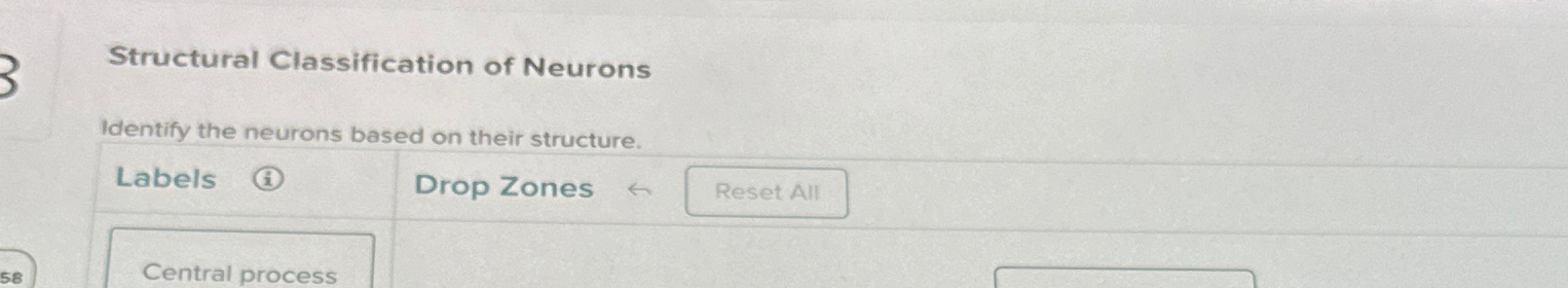 Solved Structural Classification of NeuronsIdentify the | Chegg.com