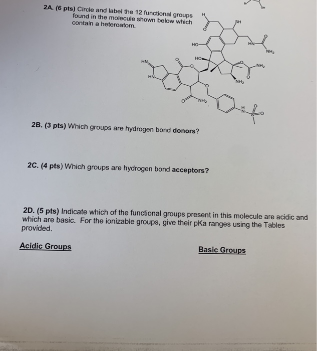 Solved 2A. (6 pts) Circle and label the 12 functional groups | Chegg.com