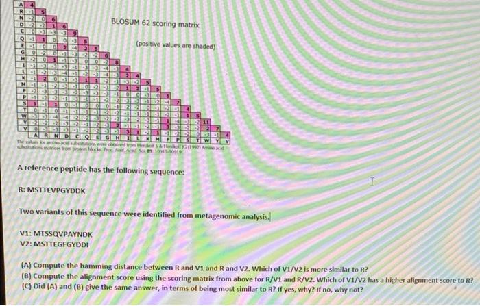 Solved 4. Here is a blosum-62 matrix: اله BLOSUM 62 scoring | Chegg.com
