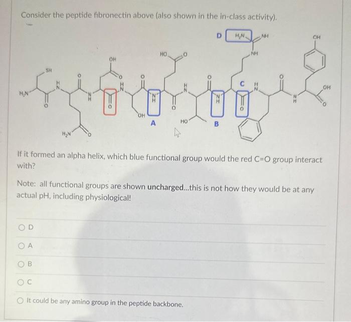 Solved Consider the peptide fibronectin above (also shown in | Chegg.com