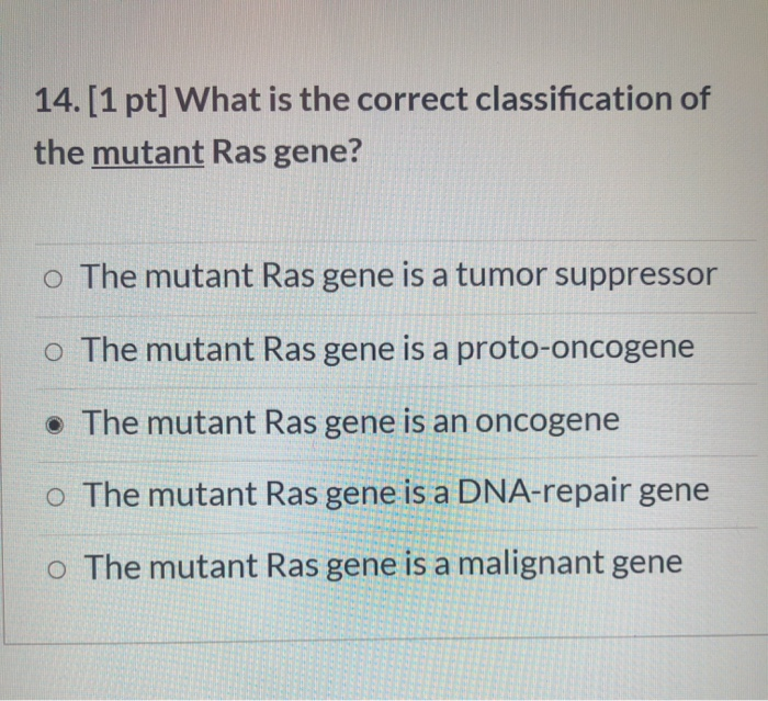 Solved 14. [1 pt] What is the correct classification of the | Chegg.com