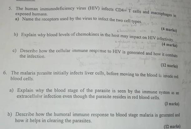 Solved s. The human immunodeficiency virus (HIV) infects | Chegg.com