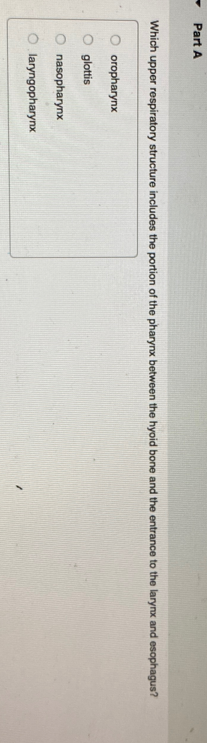 Solved Part AWhich upper respiratory structure includes the | Chegg.com