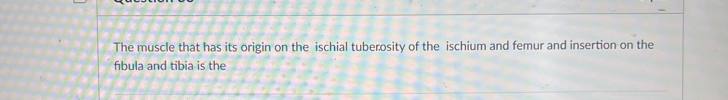 Solved The muscle that has its origin on the ischial | Chegg.com