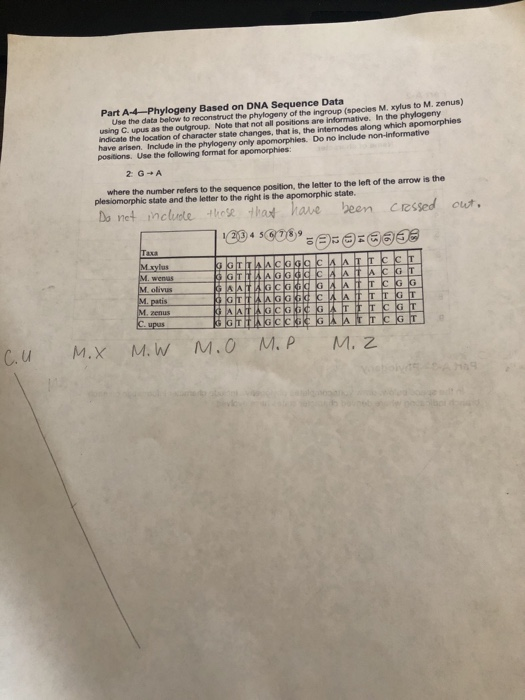 Solved Part A-4Phylogeny Based on DNA Sequence Data Use the | Chegg.com