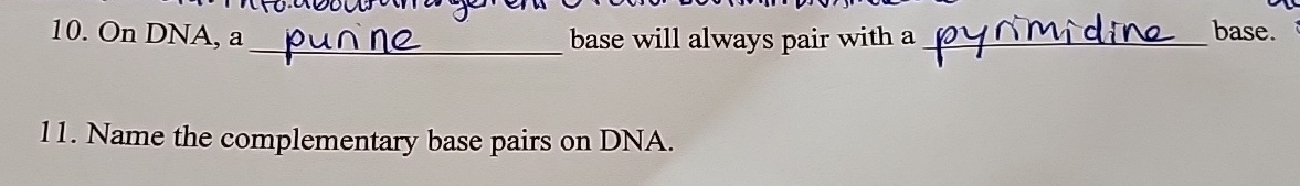 Solved On DNA, a purine q, ﻿base will always pair with a | Chegg.com