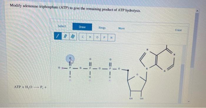 Solved Modify adenosine triphosphate (ATP) to give the | Chegg.com
