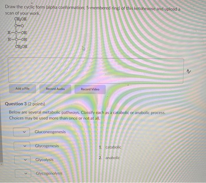 Solved Draw the cyclic form (alpha conformation; 5-membered | Chegg.com