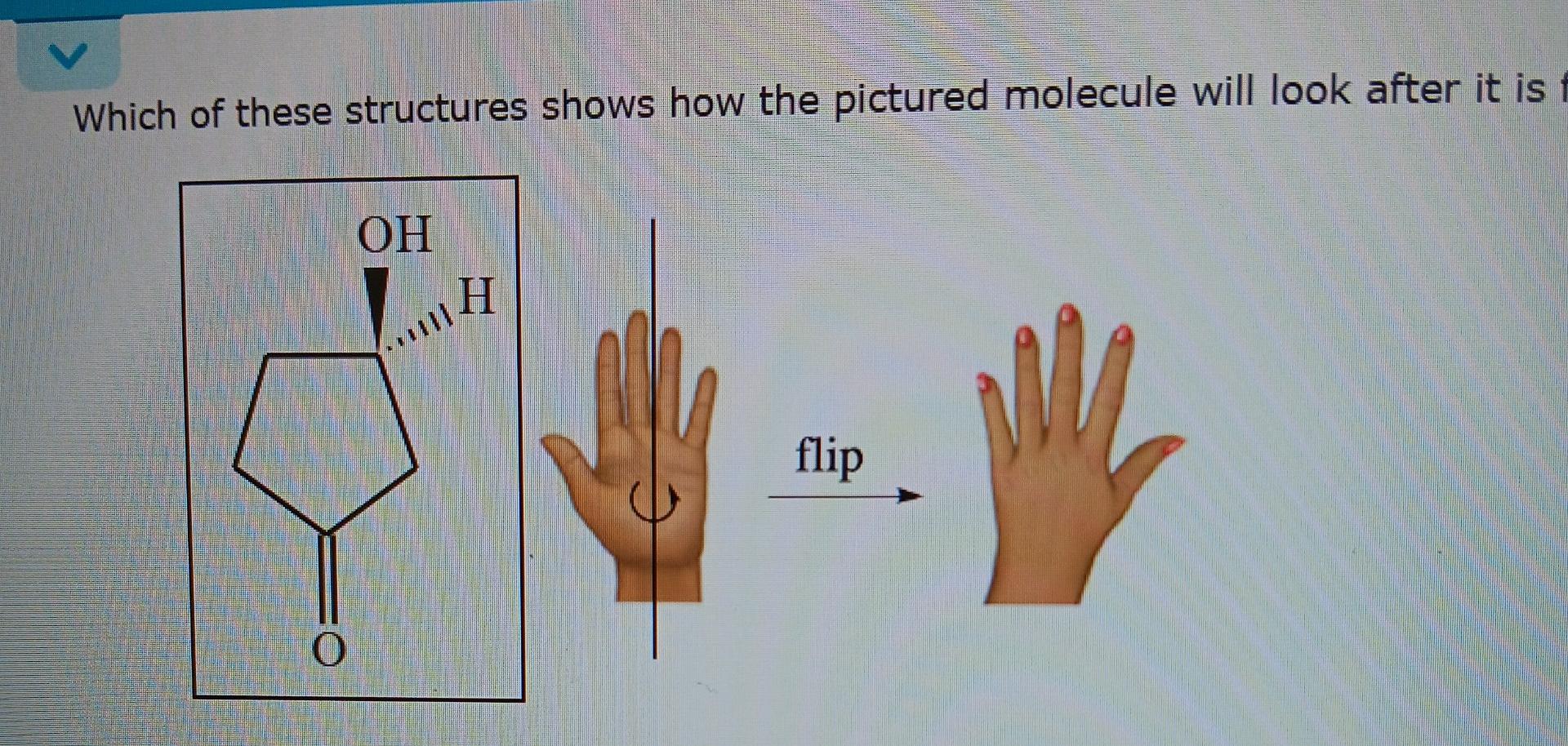 Solved Which of these structures shows how the pictured | Chegg.com