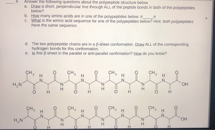 Solved Answer the following questions about the polypeptide | Chegg.com