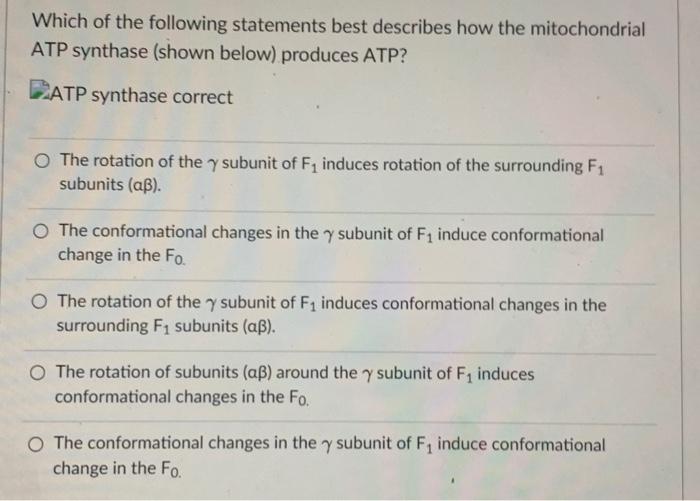 Solved Answer the followings for the ETS complex III: 1. The | Chegg.com