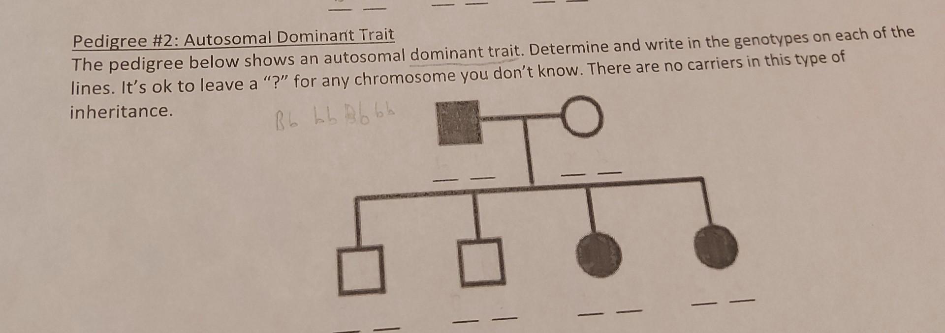 Solved Pedigree \#2: Autosomal Dominart Trait The pedigree | Chegg.com