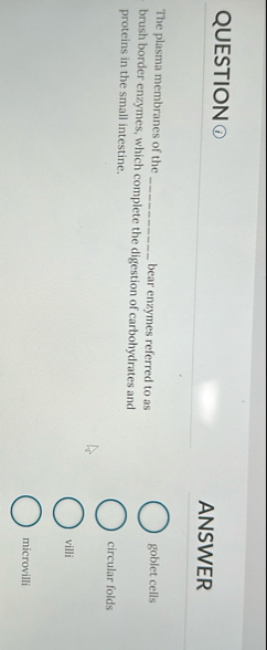Solved QUESTION ©ANSWERThe plasma membranes of the ﻿bear | Chegg.com