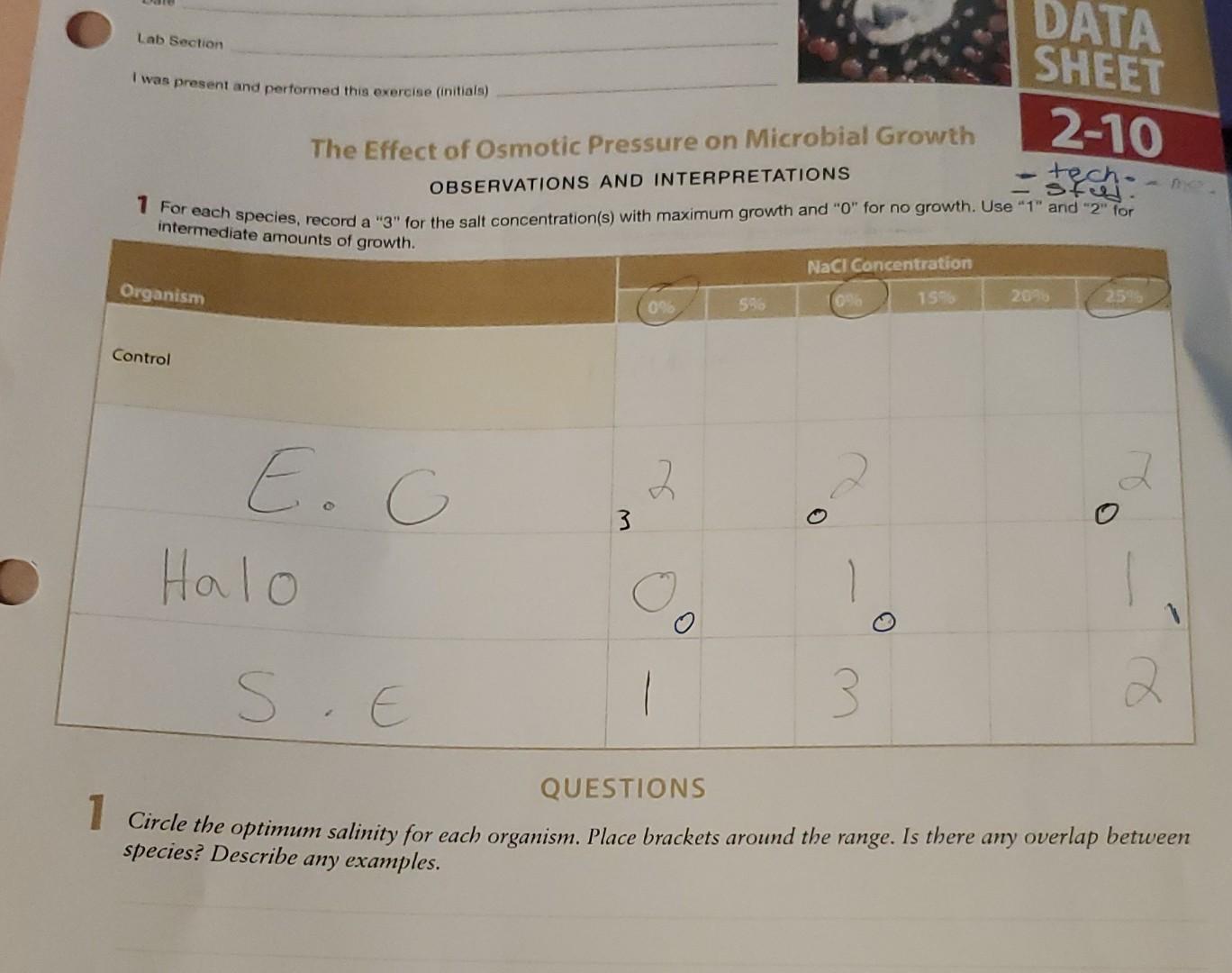 Plot relative turbidity (numeric values) versus salt | Chegg.com