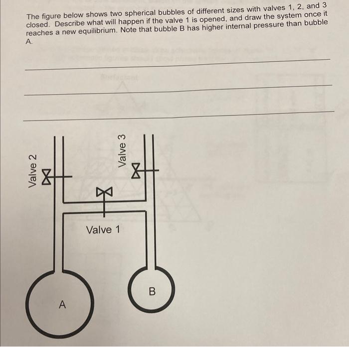 Solved The figure below shows two spherical bubbles of | Chegg.com