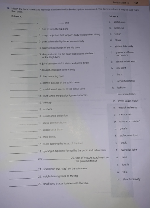 Solved Review Sheet 10 161 12. Match the bone names and | Chegg.com